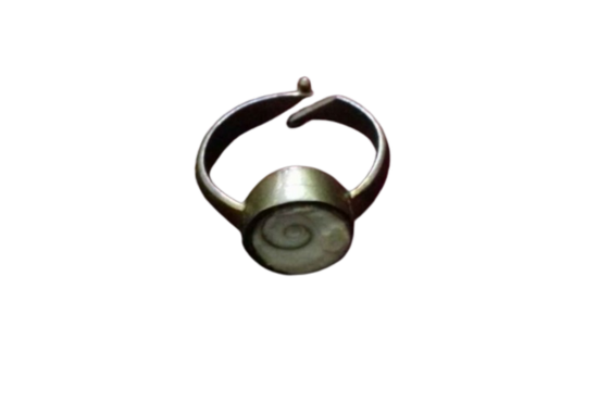 Rao's Astro - Astrology & Spiritual Products